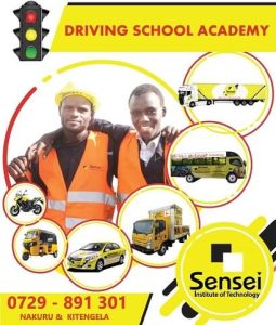 NTSA Driving licence class categories with Vehicle Description & Age ...